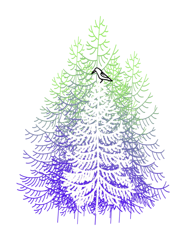 Perch Insights | Data & Analytics Platform for Contact Centers